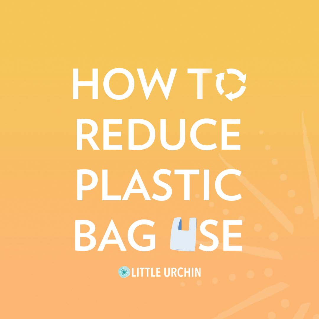 MJay Molit | Graphic Designer